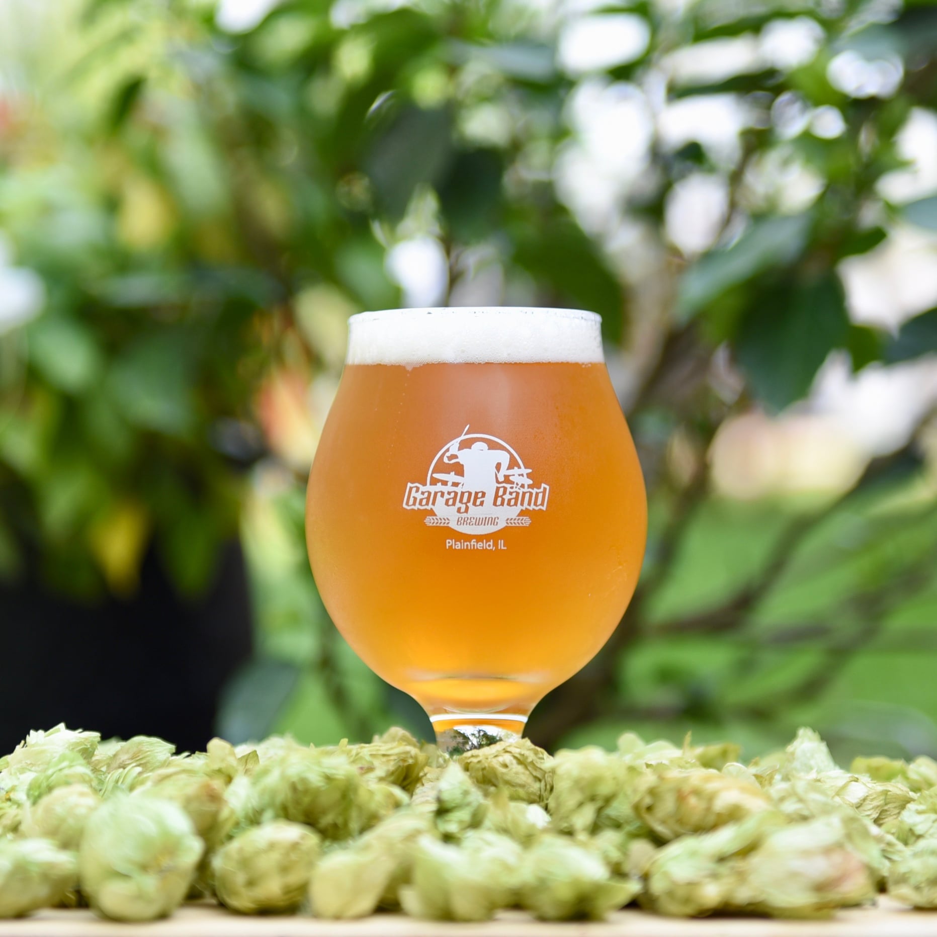 Beer and Cheese Pairing | Heritage Corridor